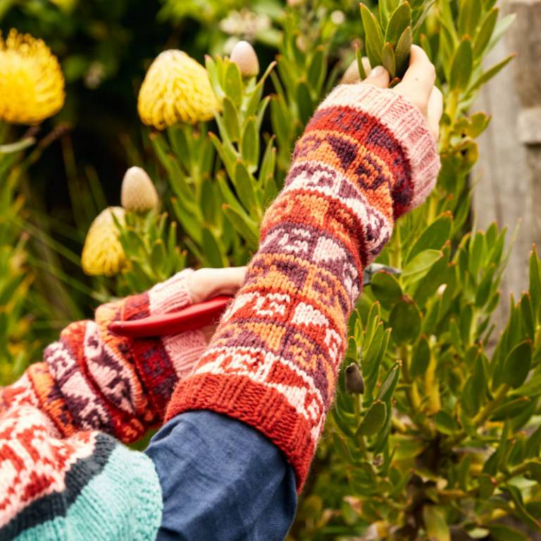 It’s Here! Field Guide No. 25: Botanica – Modern Daily Knitting