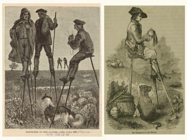 Shepherds on Stilts – Modern Daily Knitting