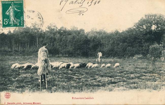 Shepherds on Stilts – Modern Daily Knitting