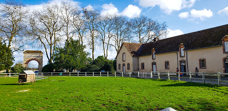 Letter from Paris: La Fête de la Tonte – Modern Daily Knitting