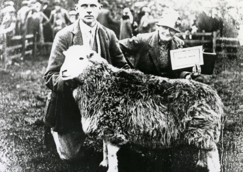 Beyond Peter Rabbit: Beatrix Potter & Her Sheep – Modern Daily Knitting