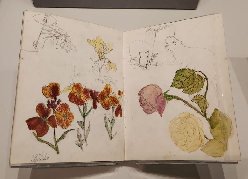 Beyond Peter Rabbit: Beatrix Potter & Her Sheep – Modern Daily Knitting