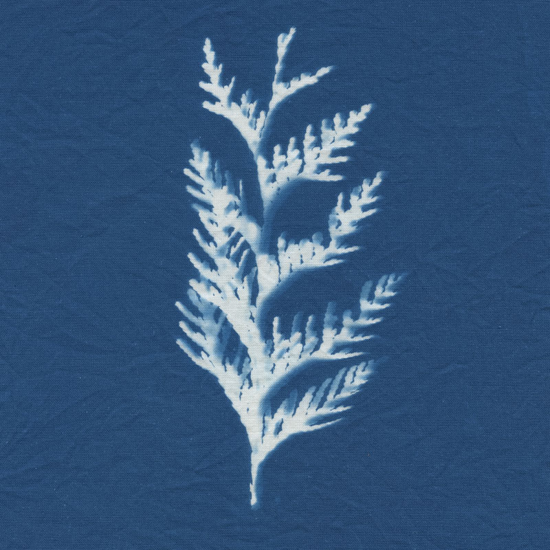 Two Roads Diverge from Knitting – Modern Daily Knitting