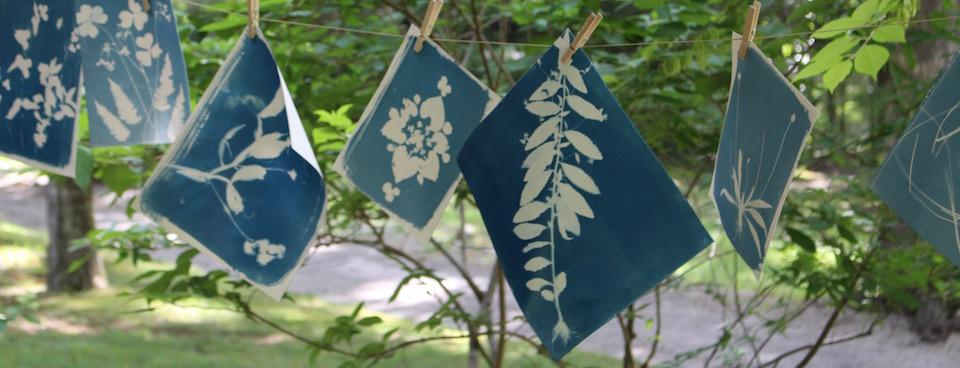 Pulling Weeds with Photographer Rinne Allen – Modern Daily Knitting