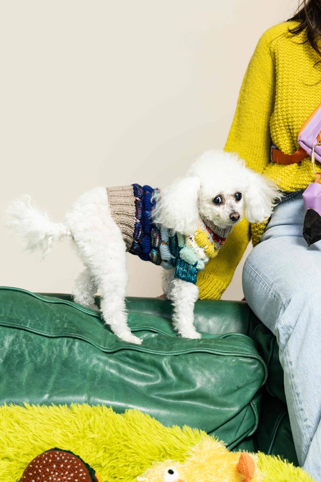Pooch Models Are Just Like Us – Modern Daily Knitting