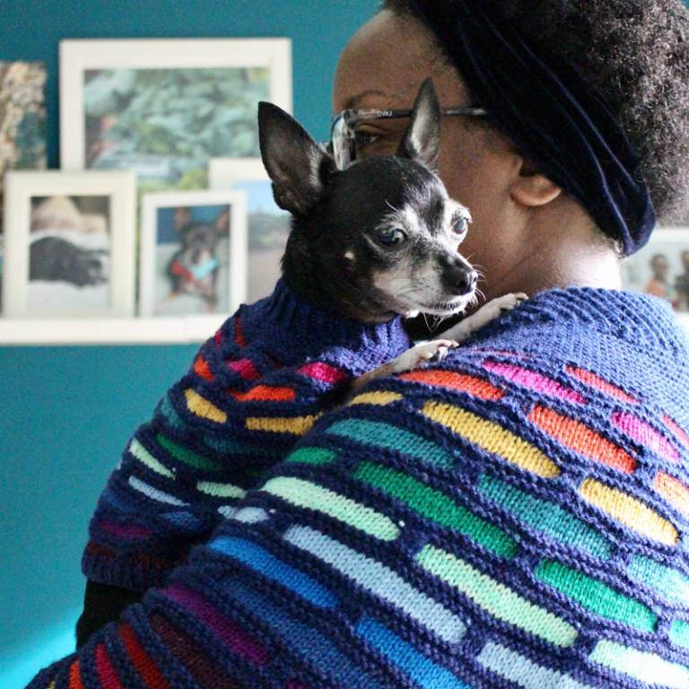 Announcing: Dog Daze! – Modern Daily Knitting