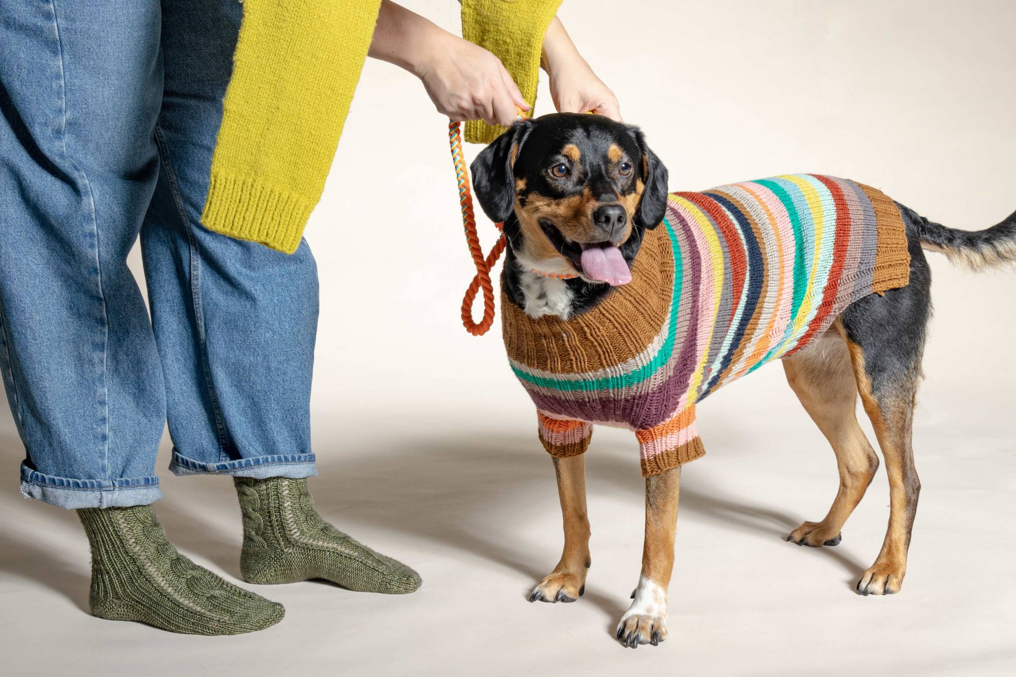 Pooch Models Are Just Like Us – Modern Daily Knitting